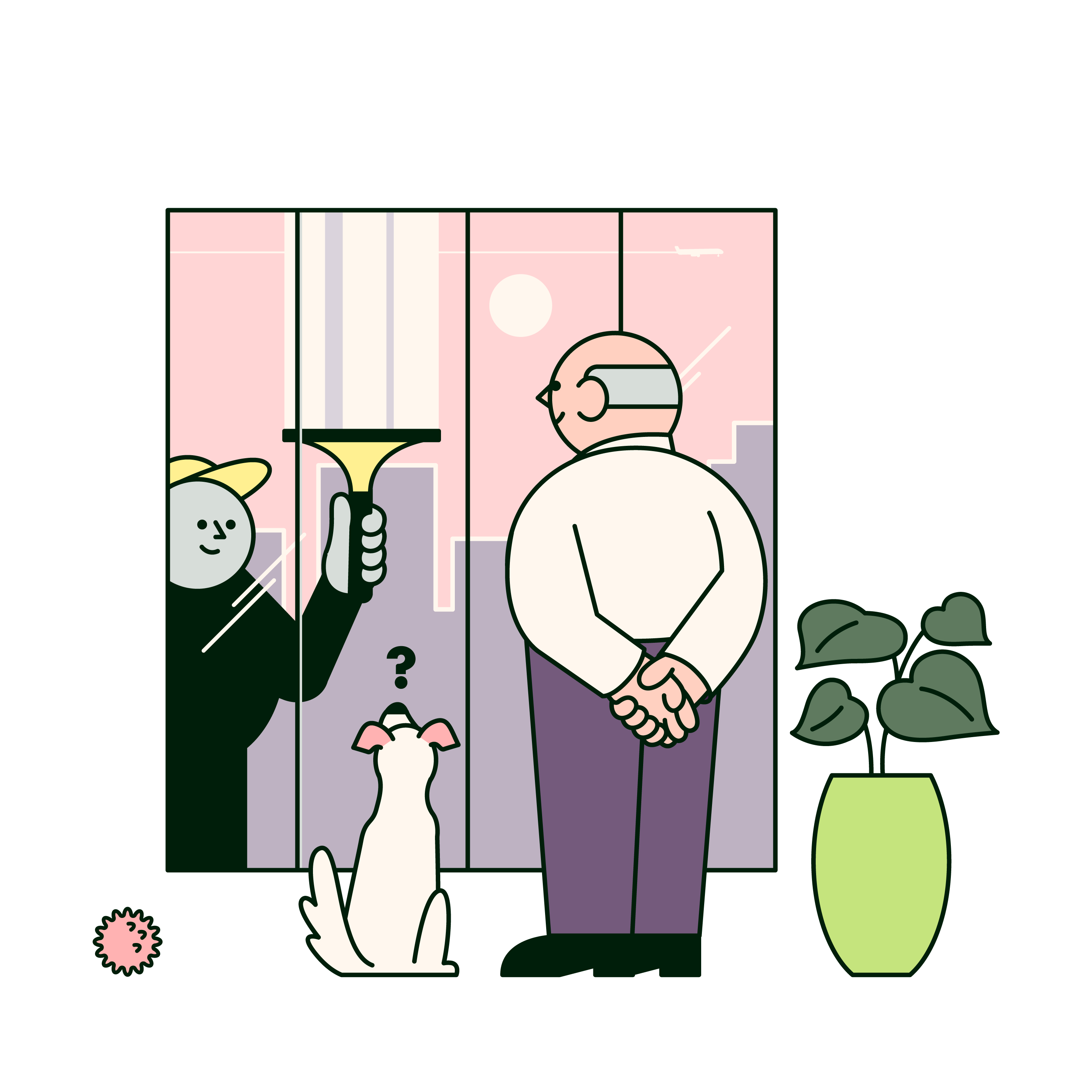 Compare Older Pet Insurance Quotes | GoCompare