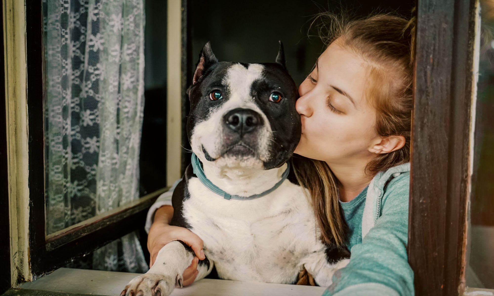 Third party liability cover for dogs | GoCompare