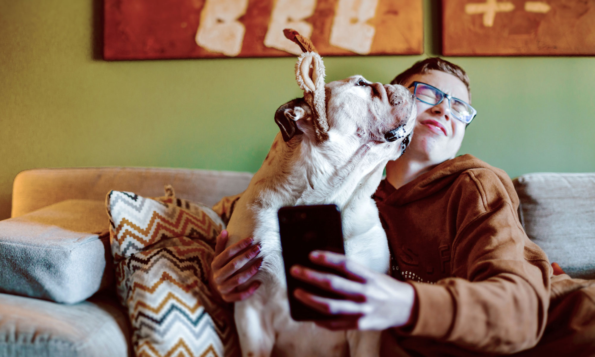 Pet Insurance for Pre-Existing Conditions | GoCompare