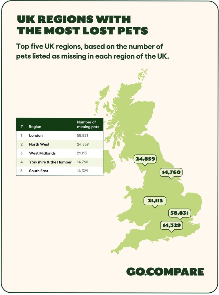 The UK’s Lost Pet Hotspots: Which Areas Have The Most Missing Pets?