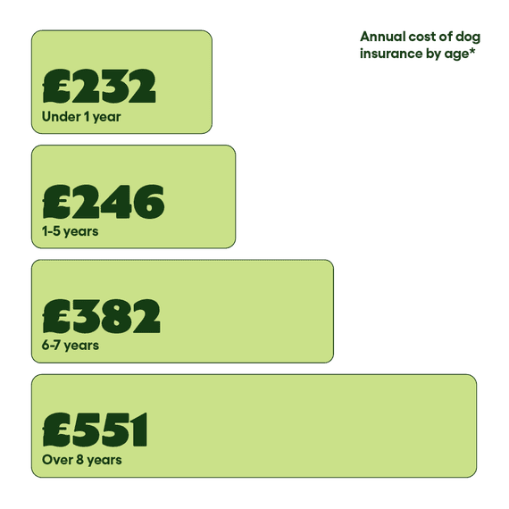 Compare Older Pet Insurance Quotes | GoCompare