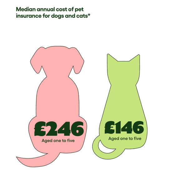 Compare Cheap Pet Insurance Quotes from £3.72 Per Month | GoCompare