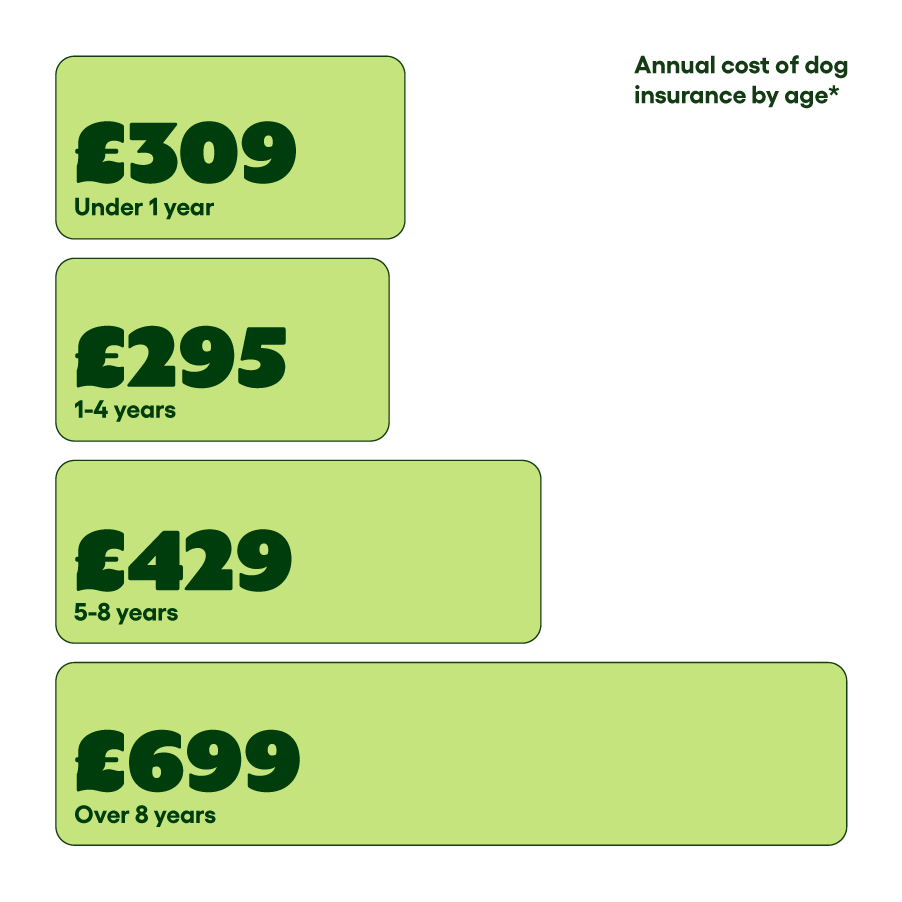Compare Older Pet Insurance Quotes from £3.83 Per Month | GoCompare