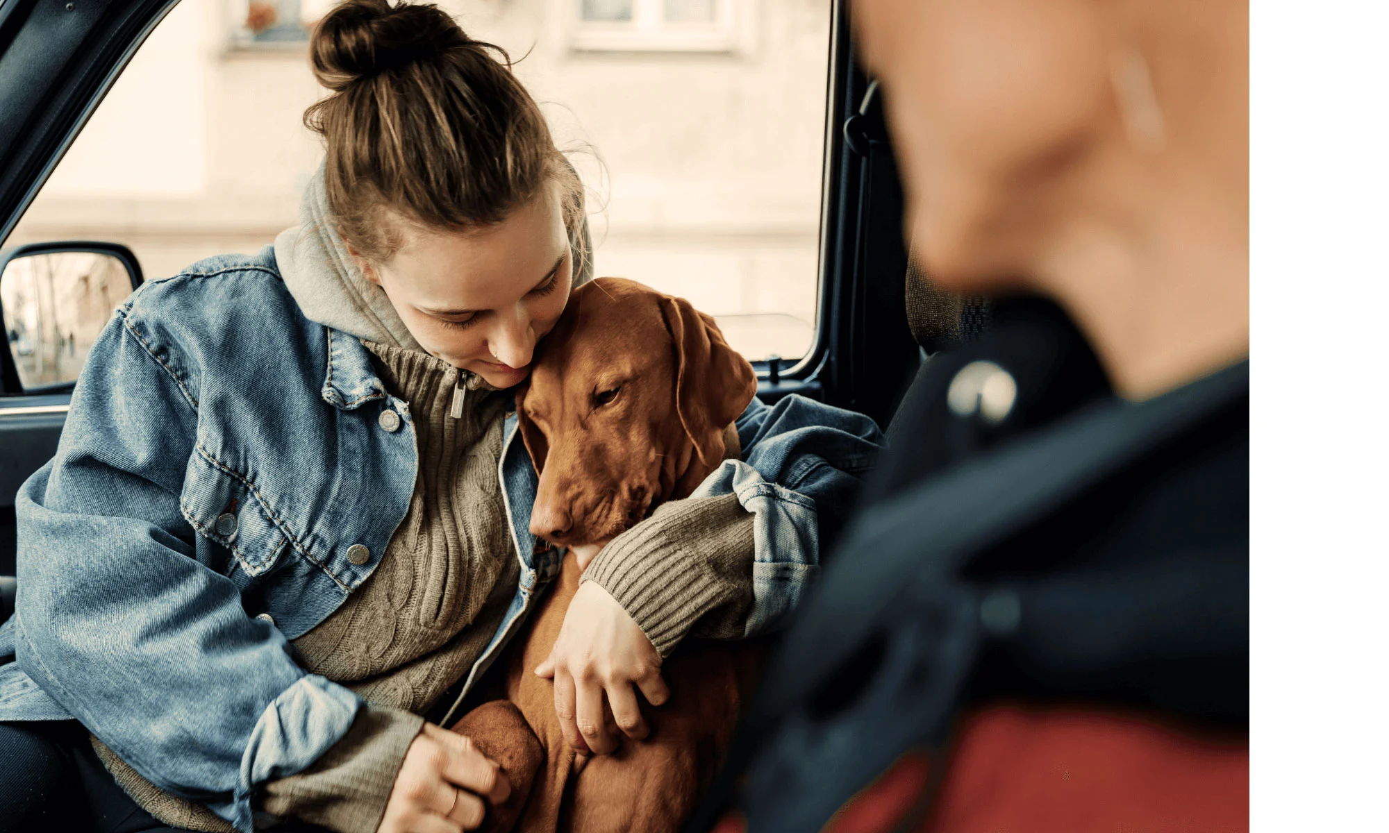 Compare Cheap Pet Insurance Quotes from £3.51 Per Month | GoCompare