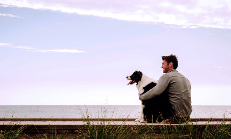 A Guide to Pet Microchipping and Insurance | GoCompare